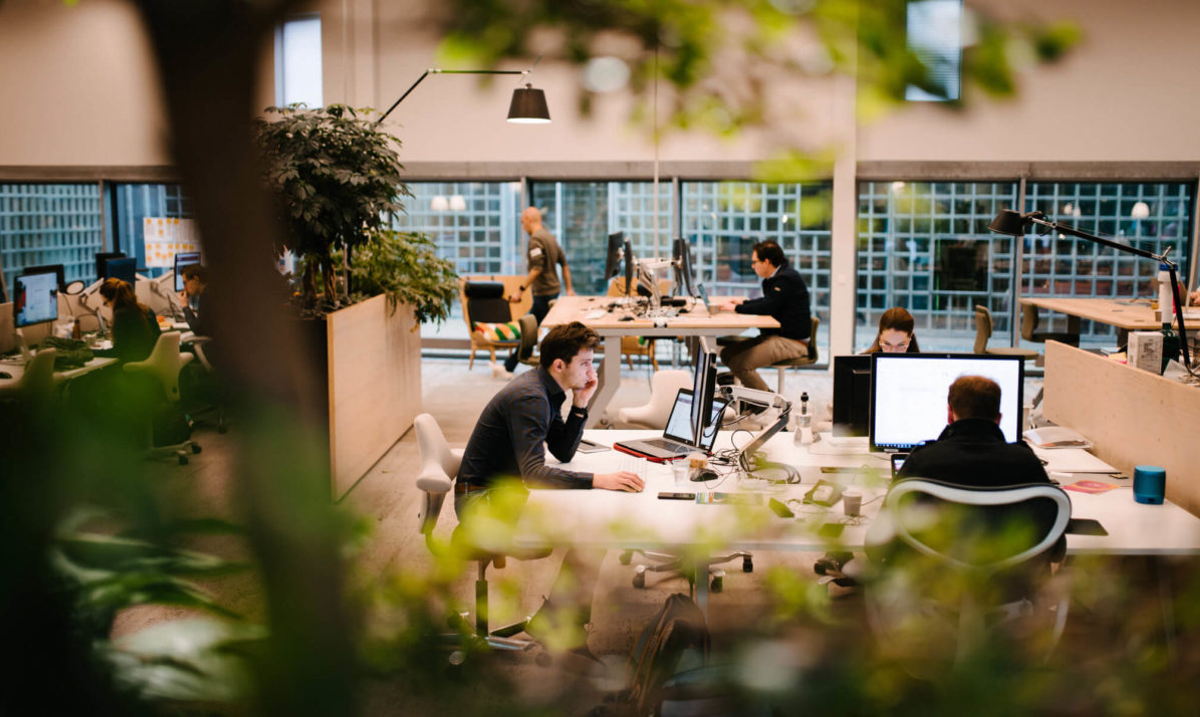 NEDAP technology - thedatacooks.com